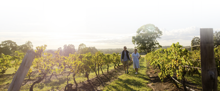 Cellar Door – Pokolbin Estate